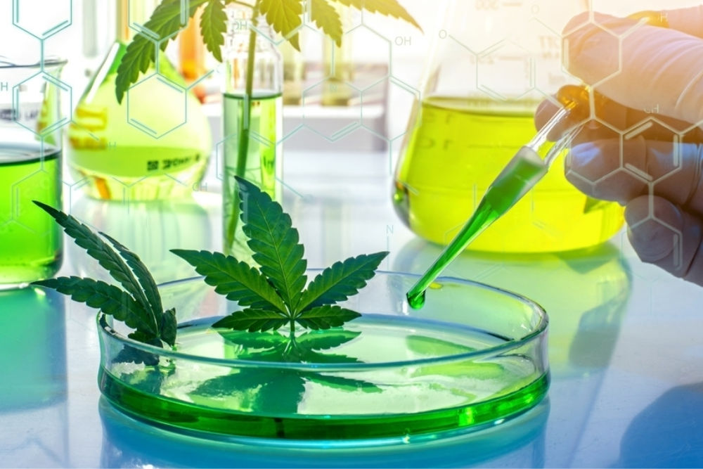 Analytical Testing Ppb Analytical Inc